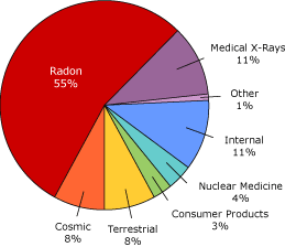Radon and Radioactive Decay By-Products: Understanding the Science and ...